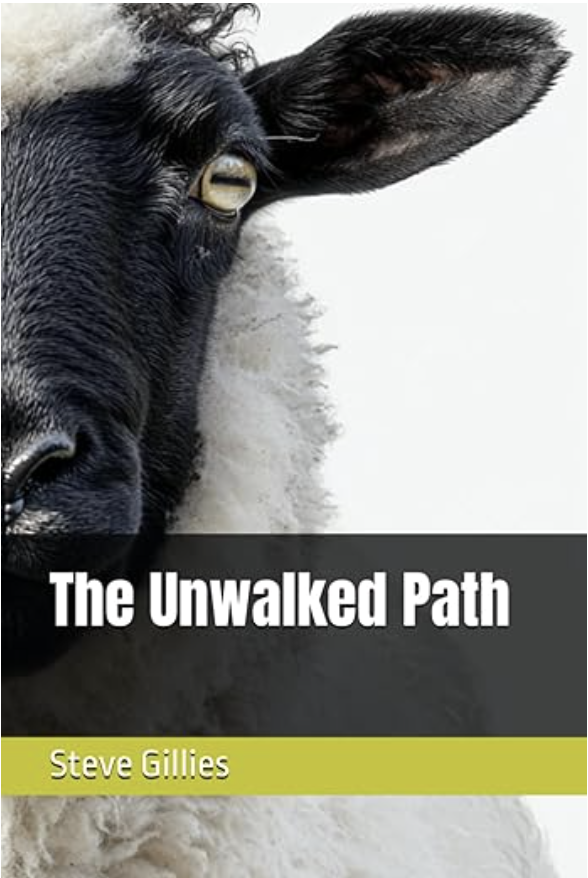 Foreword To The Unwalked Path – Steve Gillies